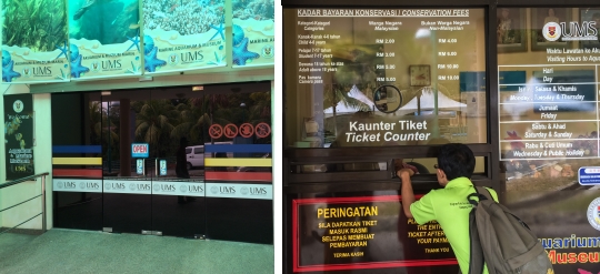 Hybrid Grouper & Co At The Marine Aquarium & Museum UMS – Dulu Lain ...